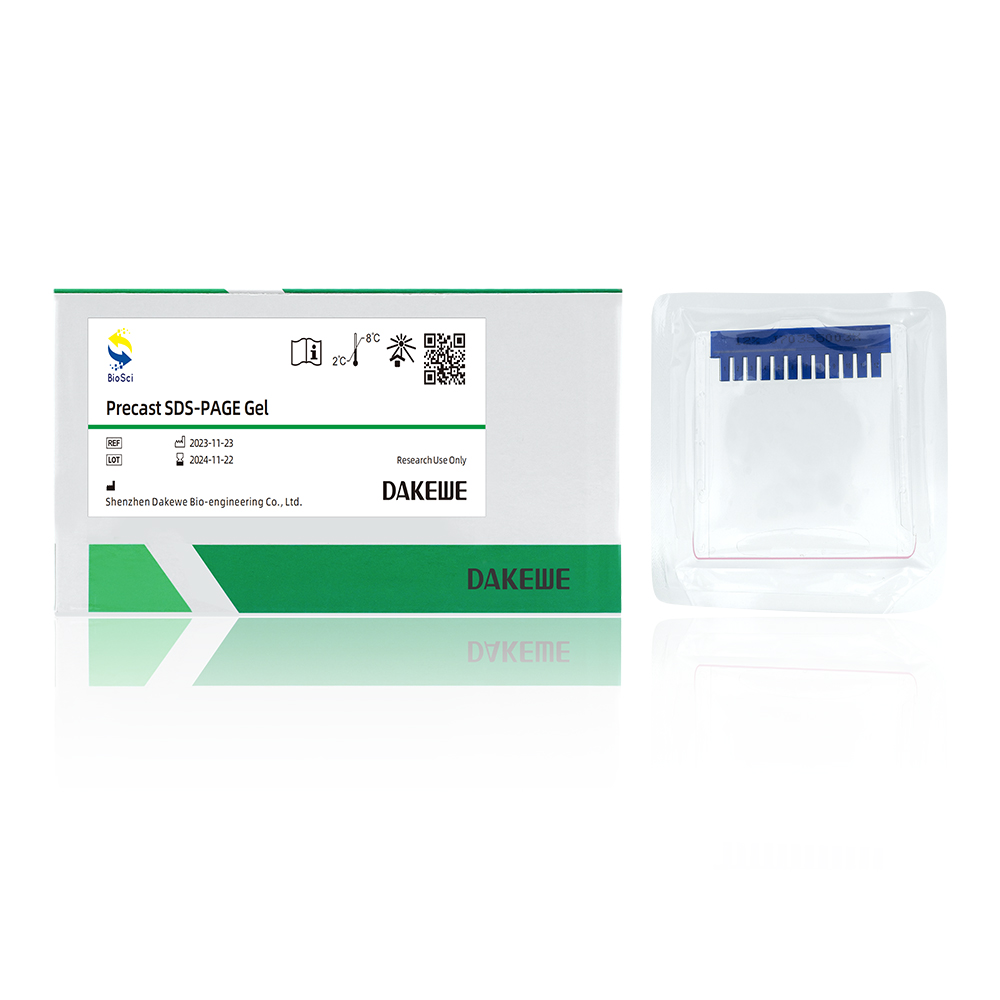 Precast SDS-PAGE Gel 4-20% 12 Wells | BioSci