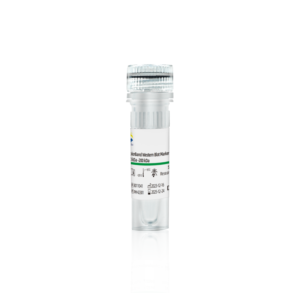 ColorBand Western Blot Marker 10 kDa -200 kDa | BioSci